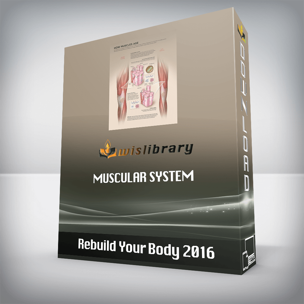 Rebuild Your Body 2016 - Muscular System