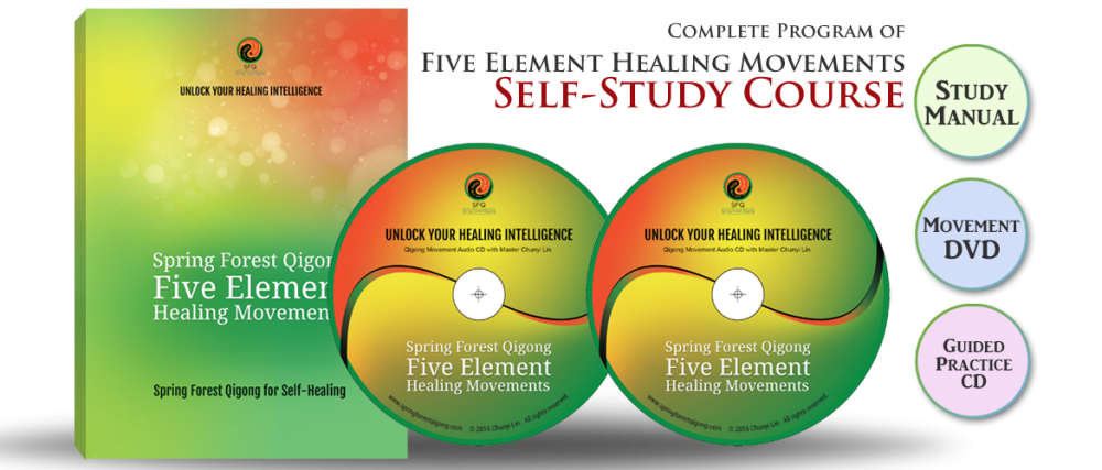 Chunyi Lin - Spring Forest Qigong - Five Element Healing Movements ...