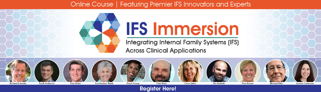 IFS Immersion Integrating Internal Family Systems (IFS) Across Clinical ...