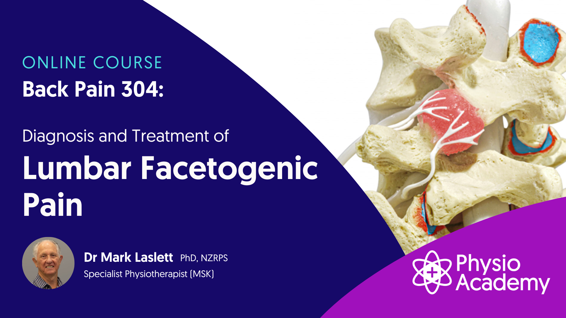 Mark Laslett - Back Pain 304 - Lumbar Facetogenic Pain - Wisdom Library